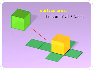 surface area